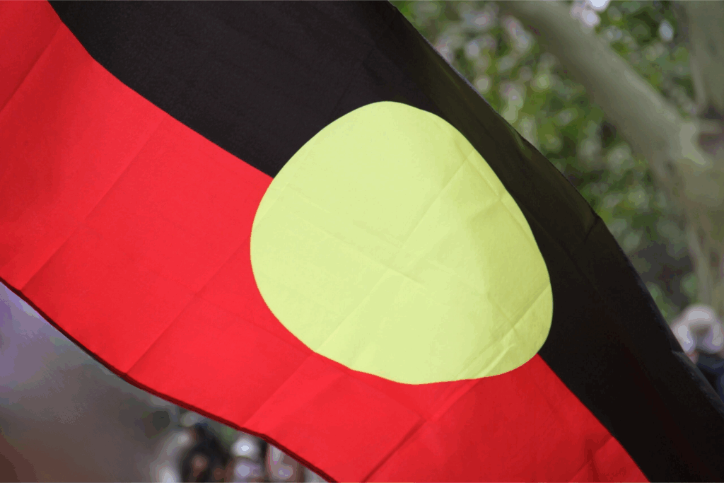 Senate Inquiry told of urgent need for reform of Australia’s youth ...